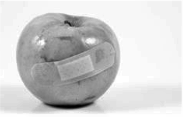 Bruised Fruit – The Brew Is A Musing